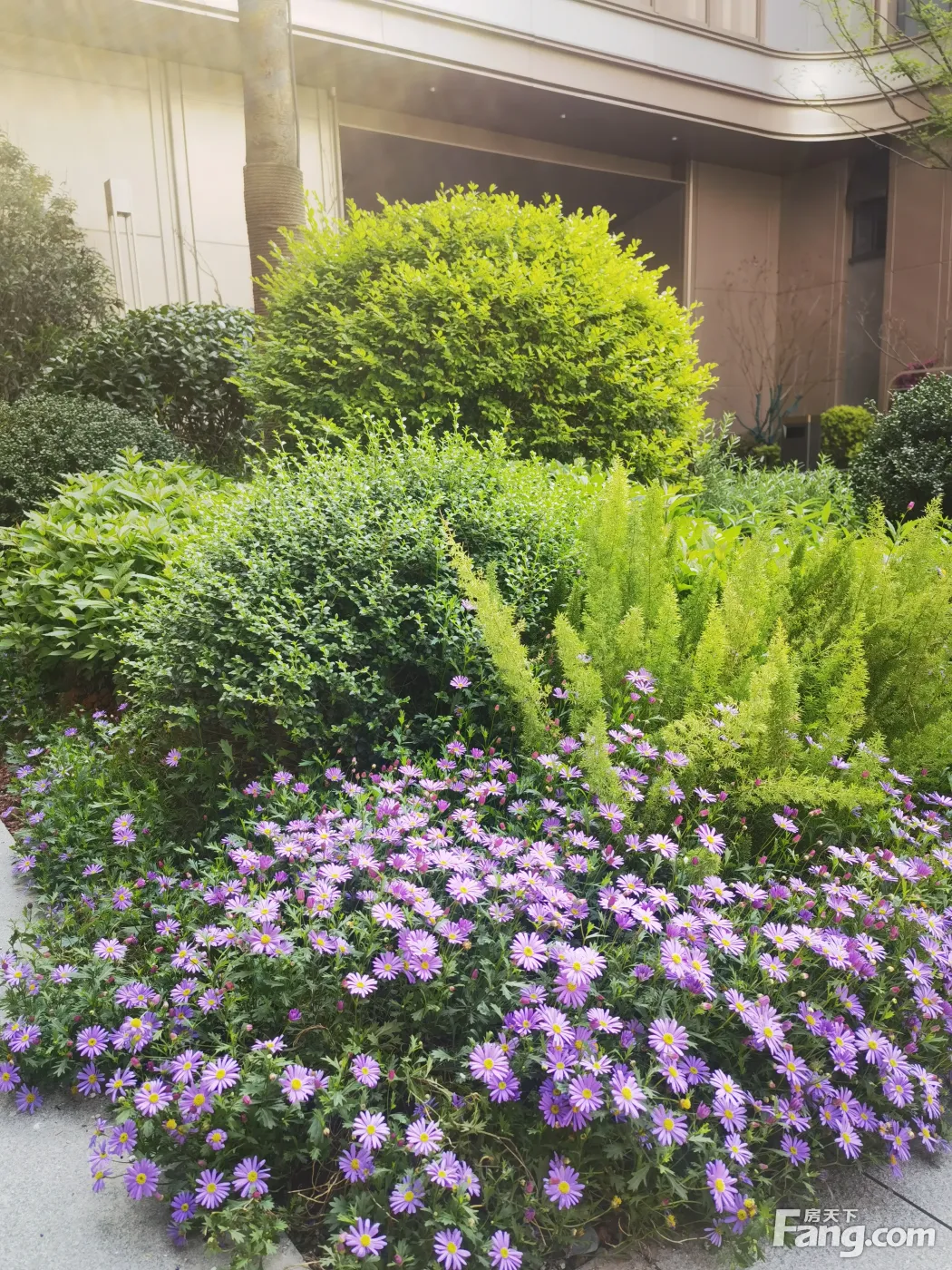 香港置地·金地·峯璟好不好？置业顾问从项目现场发回新鲜组图-武汉新房网-房天下